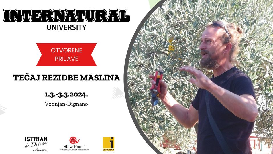 Otvoreni upisi za Tečaj rezidbe maslina | Vodnjanski đir Otvoreni upisi za Tečaj rezidbe maslina | Vodnjanski đir