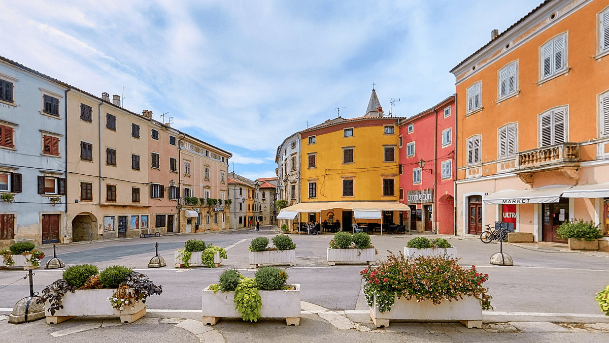 Grad Vodnjan-Dignano besplatno dodjeljuje posude za cvijeće i sadnice u ...