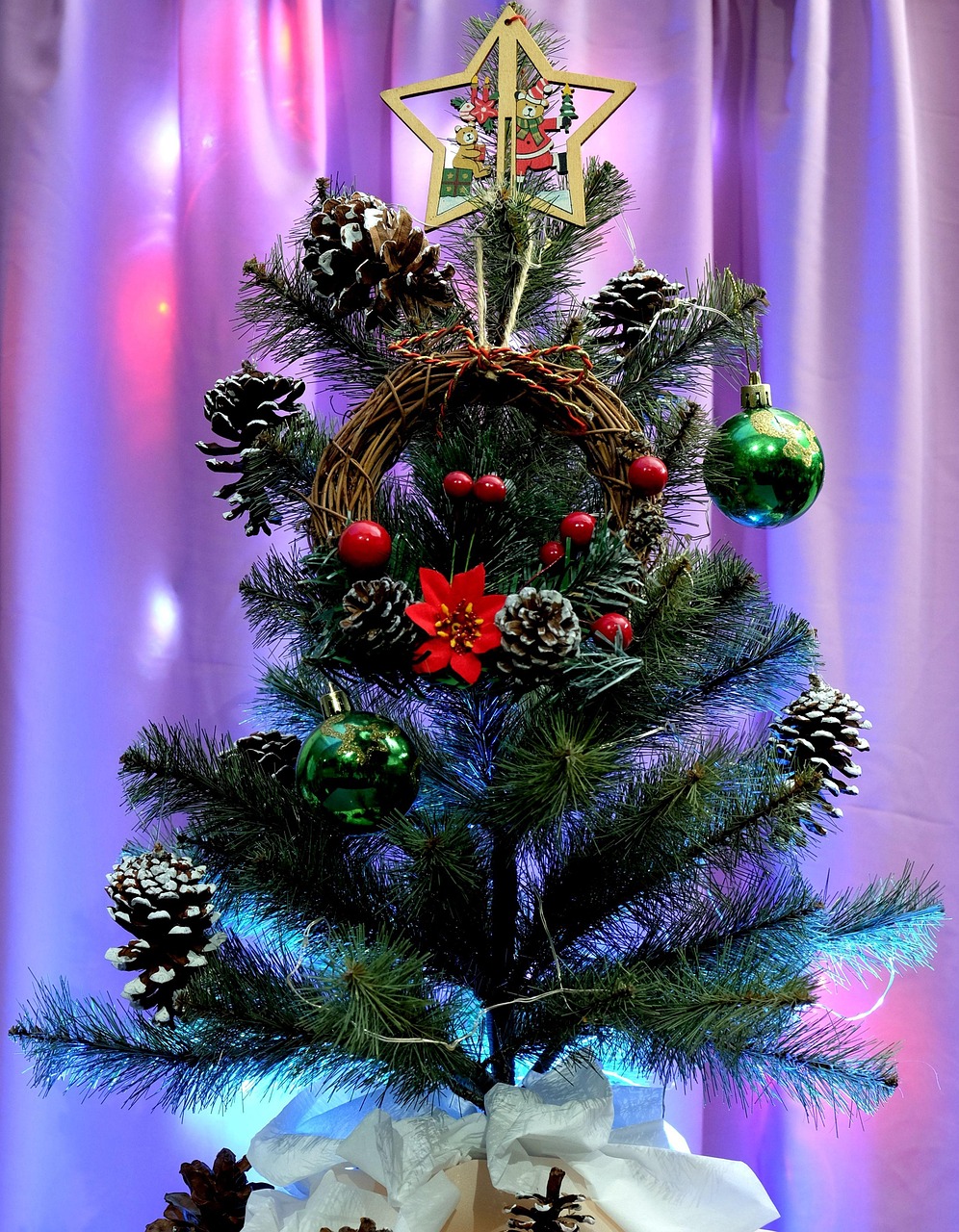 Contrada d.o.o. organizira prikupljanje i odvoz božićnih drvca s kućnog ...